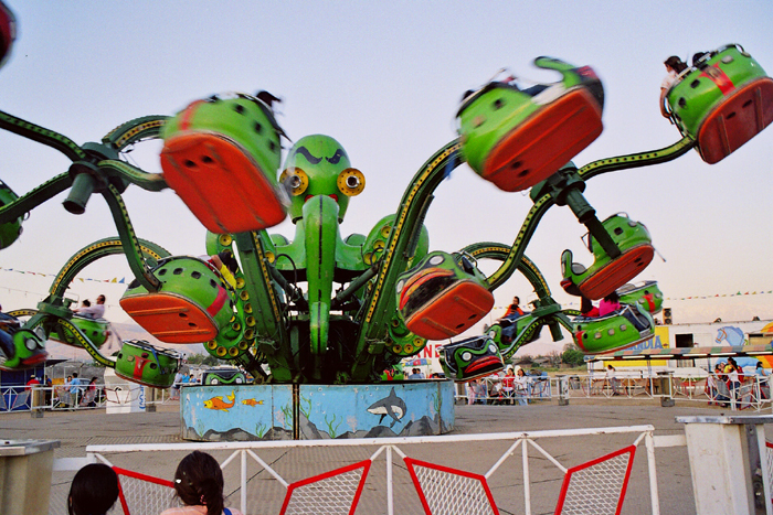 The Professional Octopus Rides Of Beston - Useful Posts